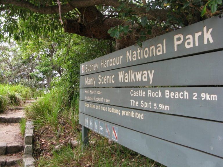 The Manly Scenic Walkway (Plus Some Quirky Sydney Tips)