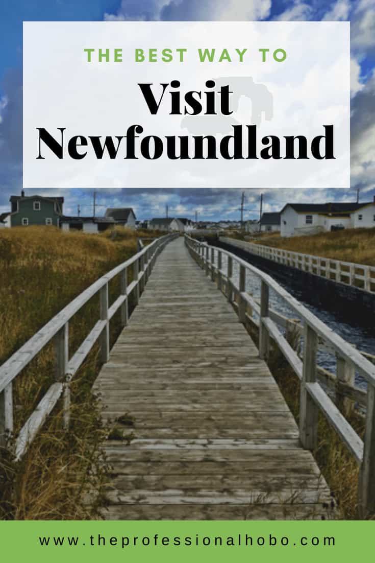 This is the Best Way to Visit Newfoundland - The Professional Hobo