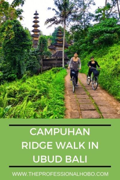 Campuhan Ridge Walk in Ubud Bali (Vlog Ep. 21) - The Professional Hobo